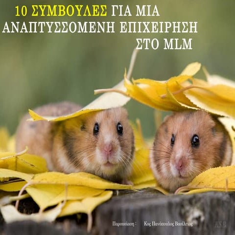 ΕΡΩΤΗΜΑΤΟΛΟΓΙΟ ΓΙΑ ΤΗΝ ΕΠΙΧΕΙΡΗΣΗ ΜΟΥ ΣΤΟ MLM | DOC