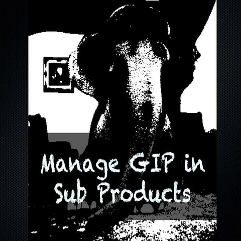 Manage Sub Product in GIP Operation-AIESEC | PPT