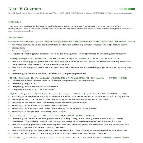 Matt resume | DOCX