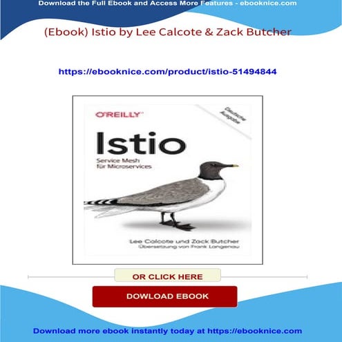 [Ebooks PDF] download (Ebook) Istio by Lee Calcote & Zack Butcher full chapters | PDF
