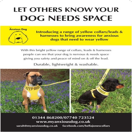 Bellas Collars - Leaflets6 | PDF