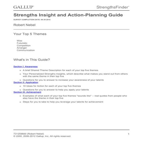 Strengths Insight and Action-Planning Guide | PDF