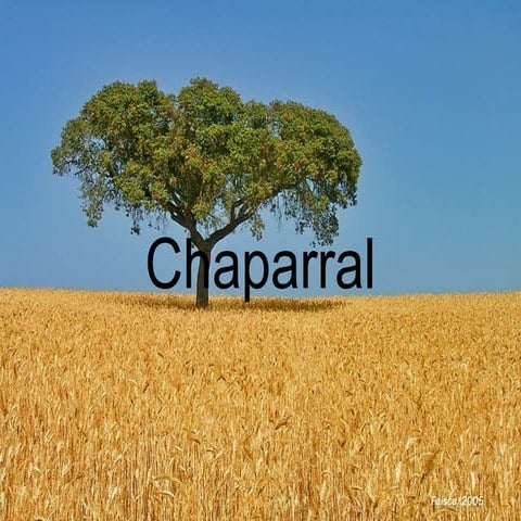 The chaparral biome | PPT