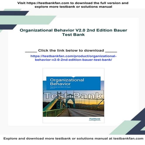 Organizational Behavior V2.0 2nd Edition Bauer Test Bank | PDF