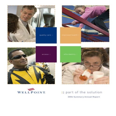WellPoint 2004 summary annual report | PDF