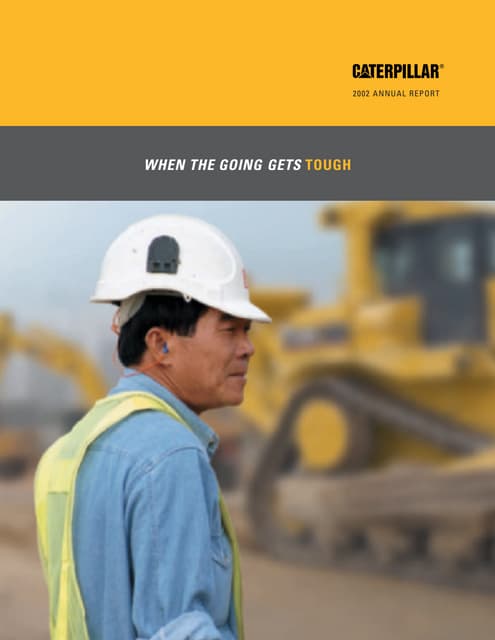 Caterpillar Production System | PDF