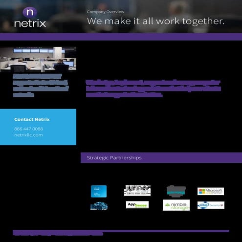 Netrix Profile V3 | PDF