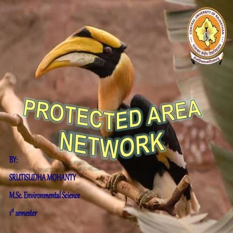 PROTECTED AREA NETWORK | PPTX