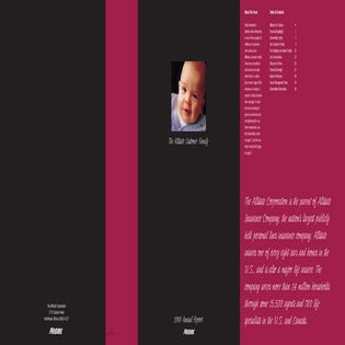 Auto Insurance Brochure | PDF