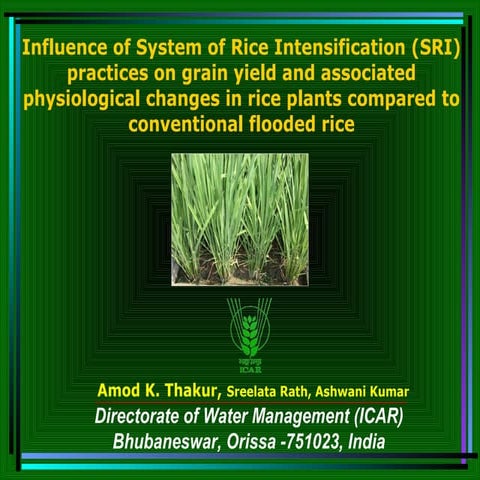 1043 Influence of System of Rice Intensification (SRI) practices on ...