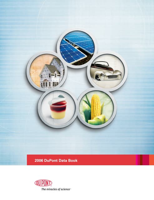 du pont 2004 Data Book | PDF | Business Accounting & Finance | Business