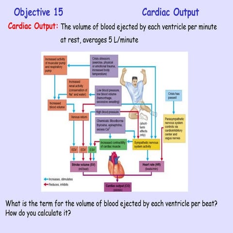 cardiac output learning cardiac cylic events.ppt