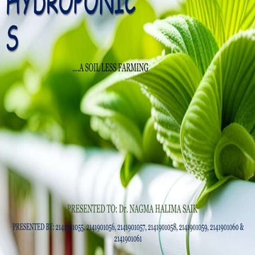 HYDROPONICS | PPT