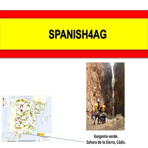 First Form Irregular verbs: hacer, poner, traer, salir, oir. Spanish4Ag ...
