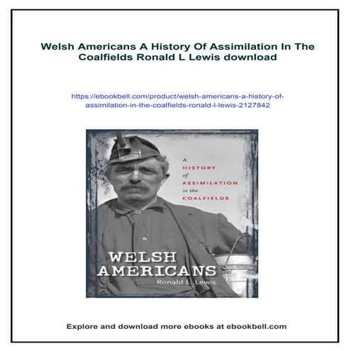 Welsh Americans A History Of Assimilation In The Coalfields Ronald L ...