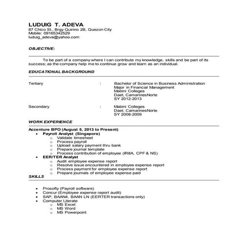 resume luduig | PDF
