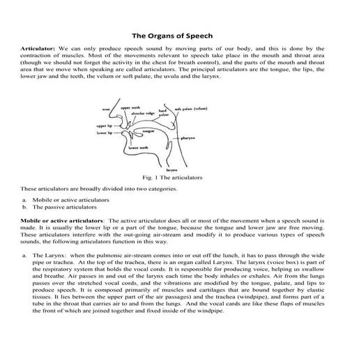 The organs of speech and their function | PPT