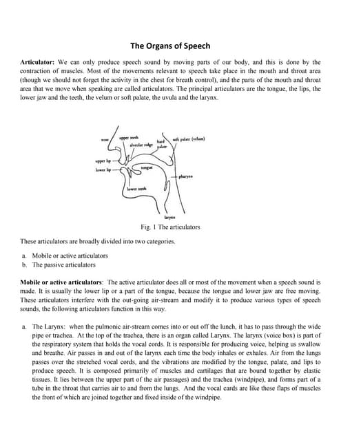 1. speech organs and their role | PPT