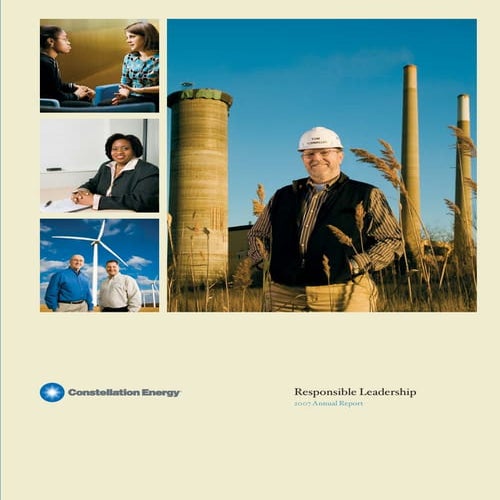 constellation energy 2007 Annual Report | PDF