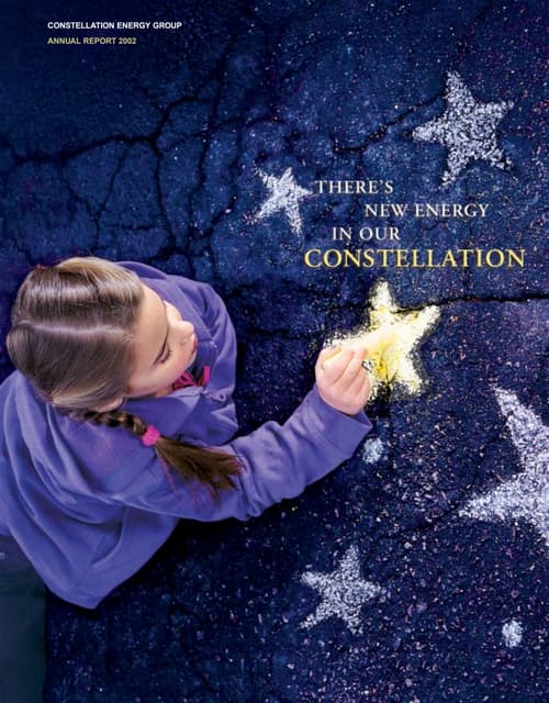 constellation energy 2003 Annual Report | PDF