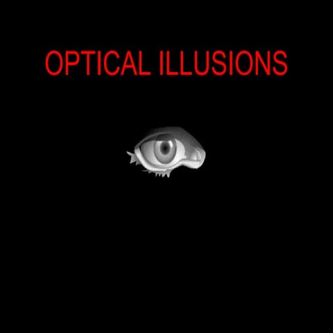 1073_optical illusions.pdf