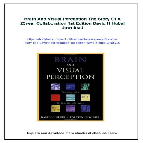 Brain And Visual Perception The Story Of A 25year Collaboration 1st ...