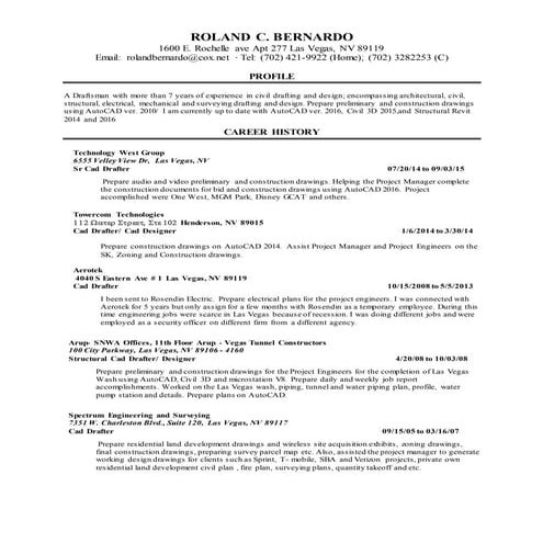 RCB CV2015 | DOCX