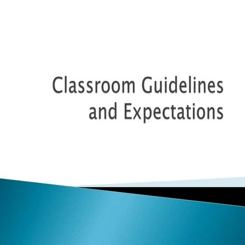 Classroom Guidelines and Expectations 1 | PPTX