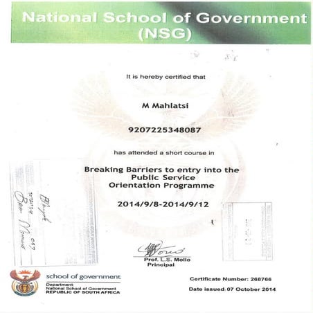 NSG Certificate | PDF