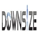 downsize logo - Vector | PDF