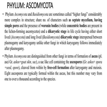 10 Ascus development.pptx