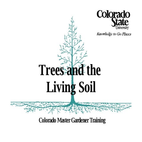 Understanding the Nutritional Needs of Trees A Guide to Growth ...