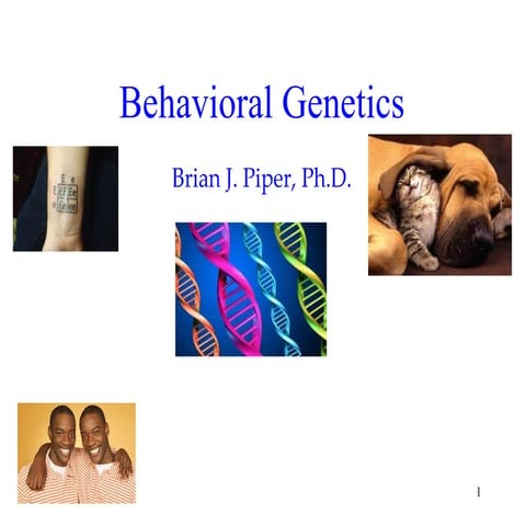 Introductory Psychology: Behavior Genetics | PPT