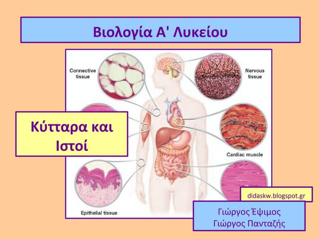Μάθημα: Βιολογία. Α' Λυκείου. 1ο Κεφ.-Σημειώσεις σχολικού βιβλίου | PPT