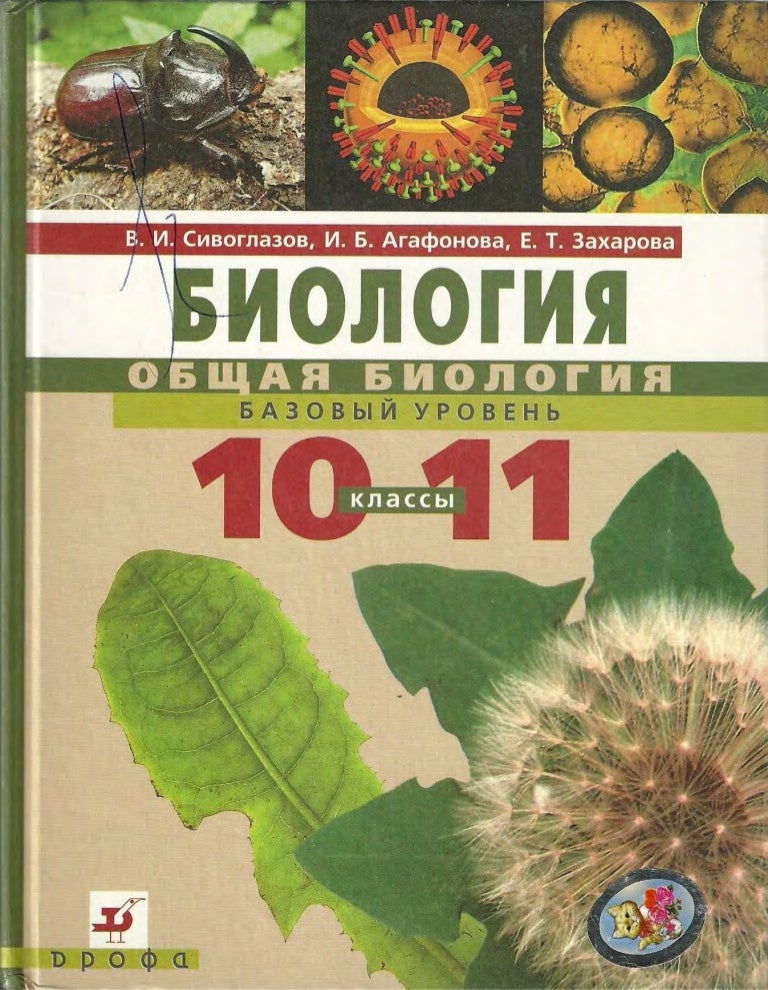 10 b s