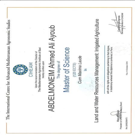 Master certificate | PDF