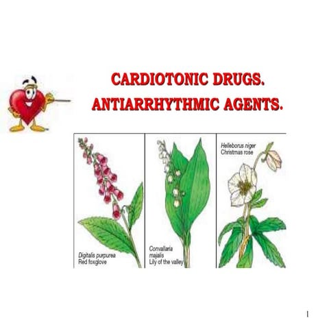 Cardiotonic Drugs. Antiarrhythmic Agents | PPT