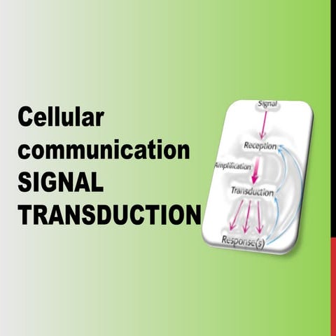 Cellular communication (signal transduction) | PPT
