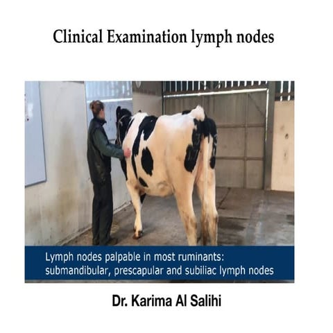 10 clinical examination lymph nodes | PDF