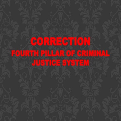 Executive Clemency in Philippines (report).pptx