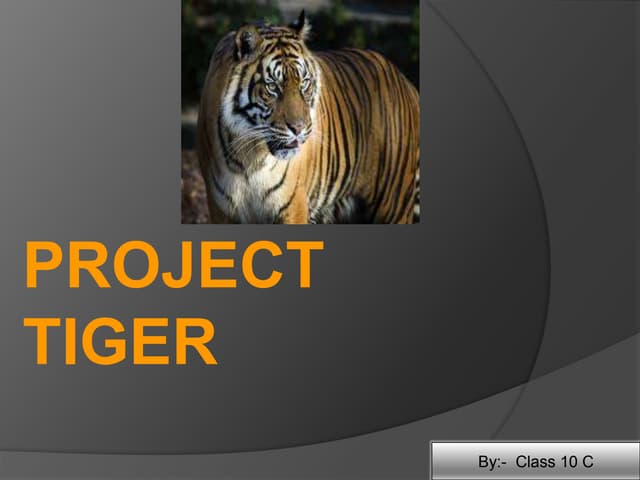Project tiger | PPTX