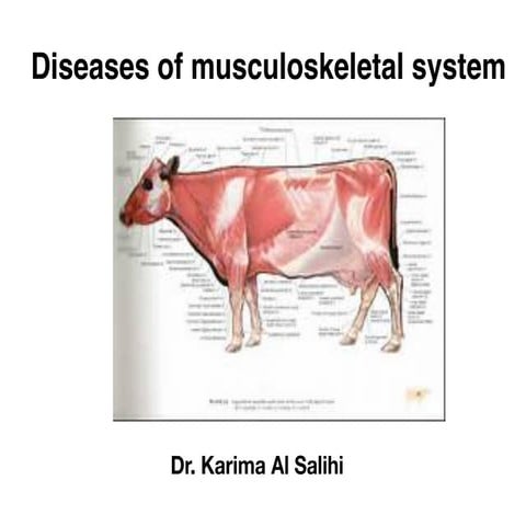 10 diseases of musculoskeletal system | PDF | Bone and Joint Conditions ...