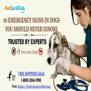 10 Emergency Signs in Dogs You Should Never Ignore | Pet Care Club | PDF