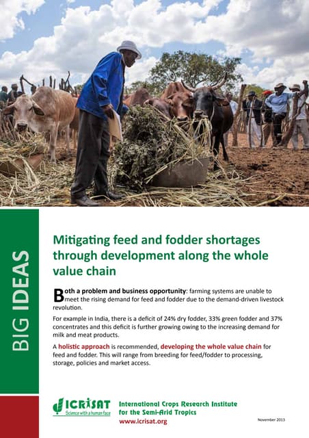 Round-the-year-fodder-production.pptx