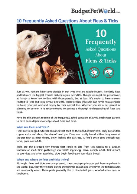 Client Handout - Fleas | DOCX