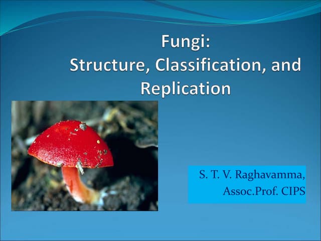 Classification of fungi proposed by Ainsworth (1971) | PPTX