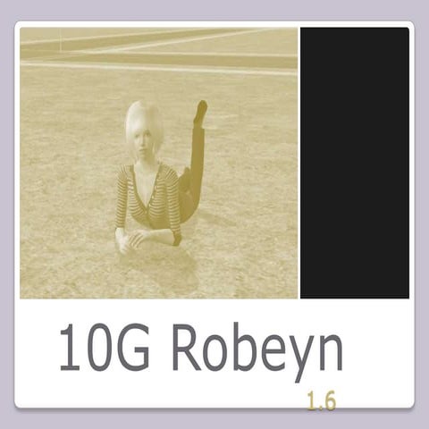 10 g robeyn 1.6 | PPTX