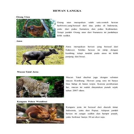 10 hewan langka | PDF
