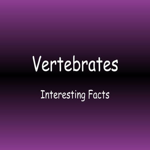 10 interesting facts vertebrates | PPT