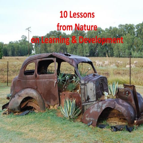 10 lessons from nature on learning & development | PDF | Workshops and ...